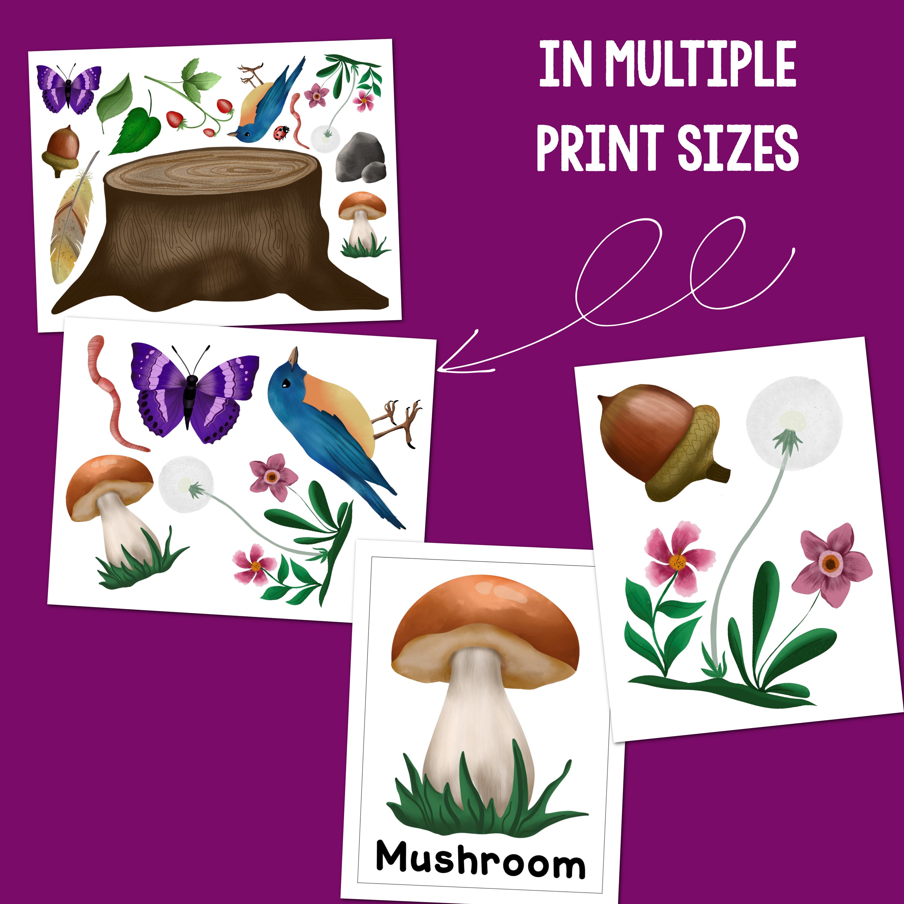 I Spy Nature Walk Kids Activity and Singing Time Review Game Summer ...