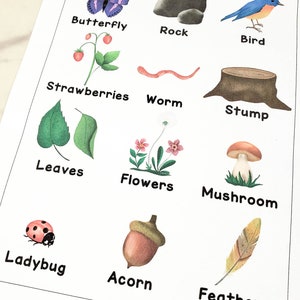 I Spy Nature Walk Kids Activity and Singing Time Review Game Summer ...