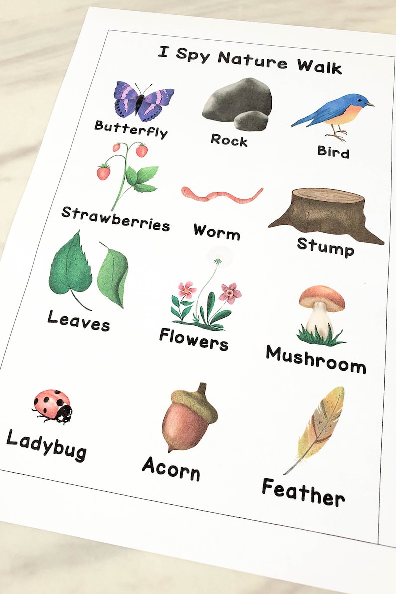 I Spy Nature Walk Kids Activity and Singing Time Review Game Summer ...