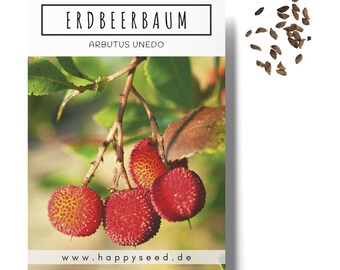 Home & Living Strawberry Tree Madrone Tree Seller Tropical species ...