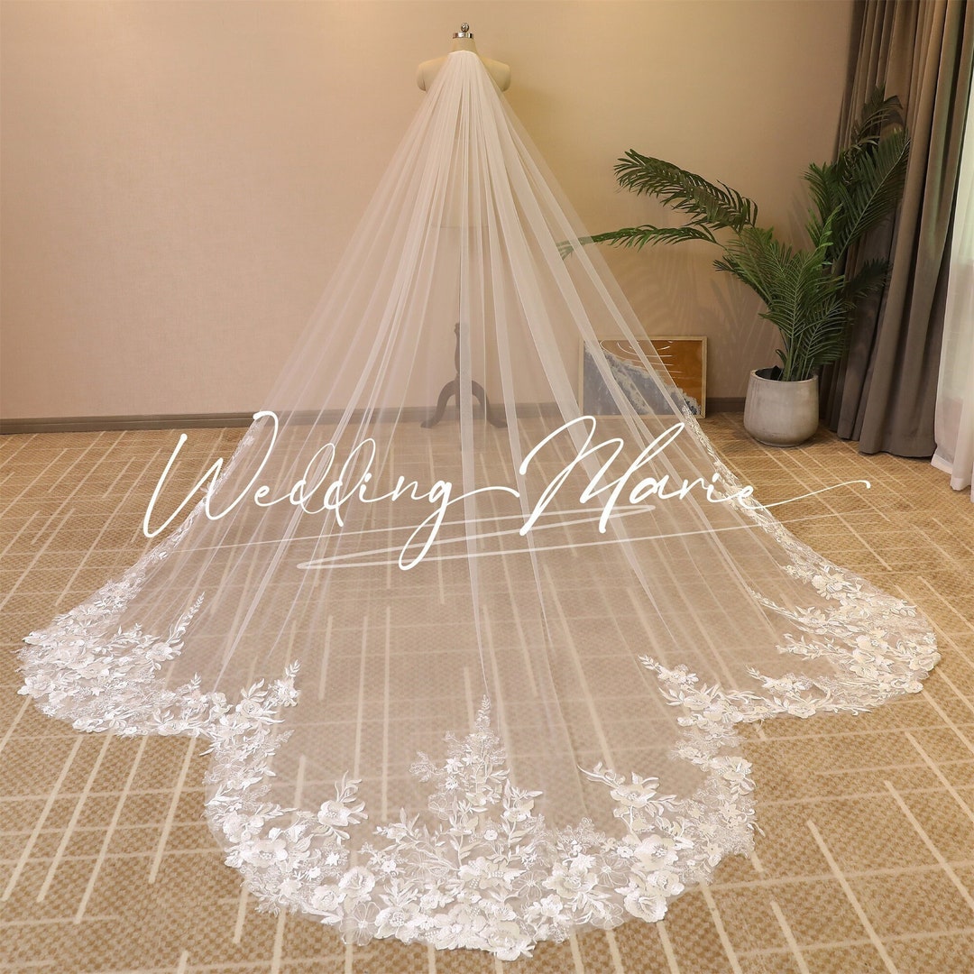 Petal Trailing Wedding Veil, Champagne/white Appliques Bridal Veil, One ...