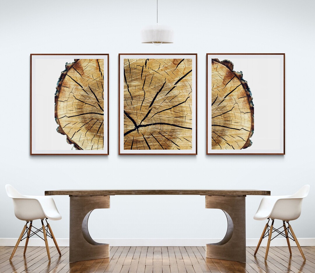 Tree Ring Print, Set of 3 Prints, Printable Wall Art, Minimalist Wall ...