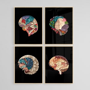 Paper Quill Human Brain Wall Art Set of 4 - Neuroscience Decor ...