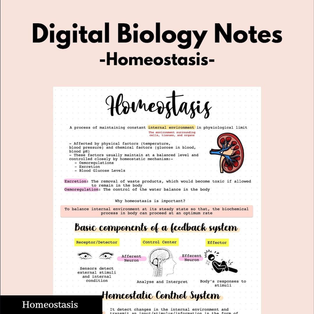 Homeostasis Part 1 Concept of Homeostasis Biology Notes - Etsy