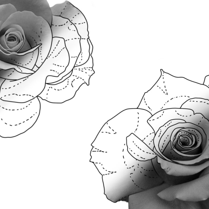 70 Realistic Rose Tattoo Stencil Procreate Brush Set Etsy Australia