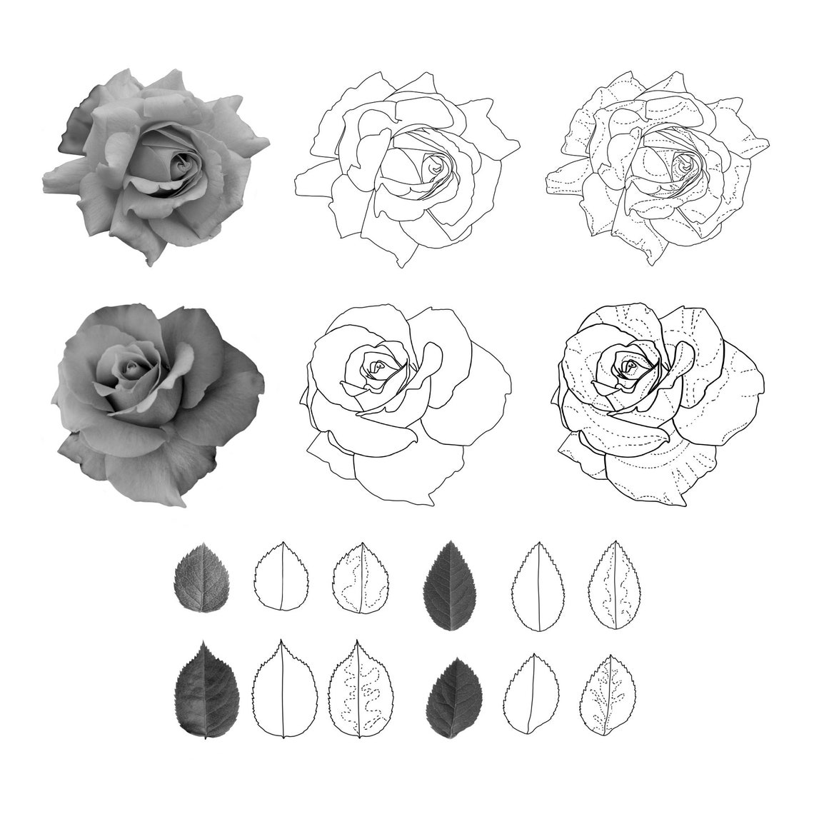 130+ Realistic Rose Tattoo Stencil Procreate Brush Set MEGA Bundle - Etsy