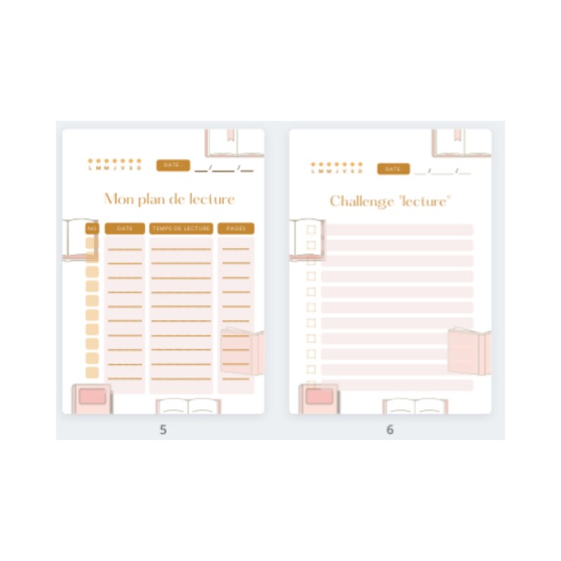 JOURNAL de LECTURE personnalisable dans CANVA 10 pages en français ...
