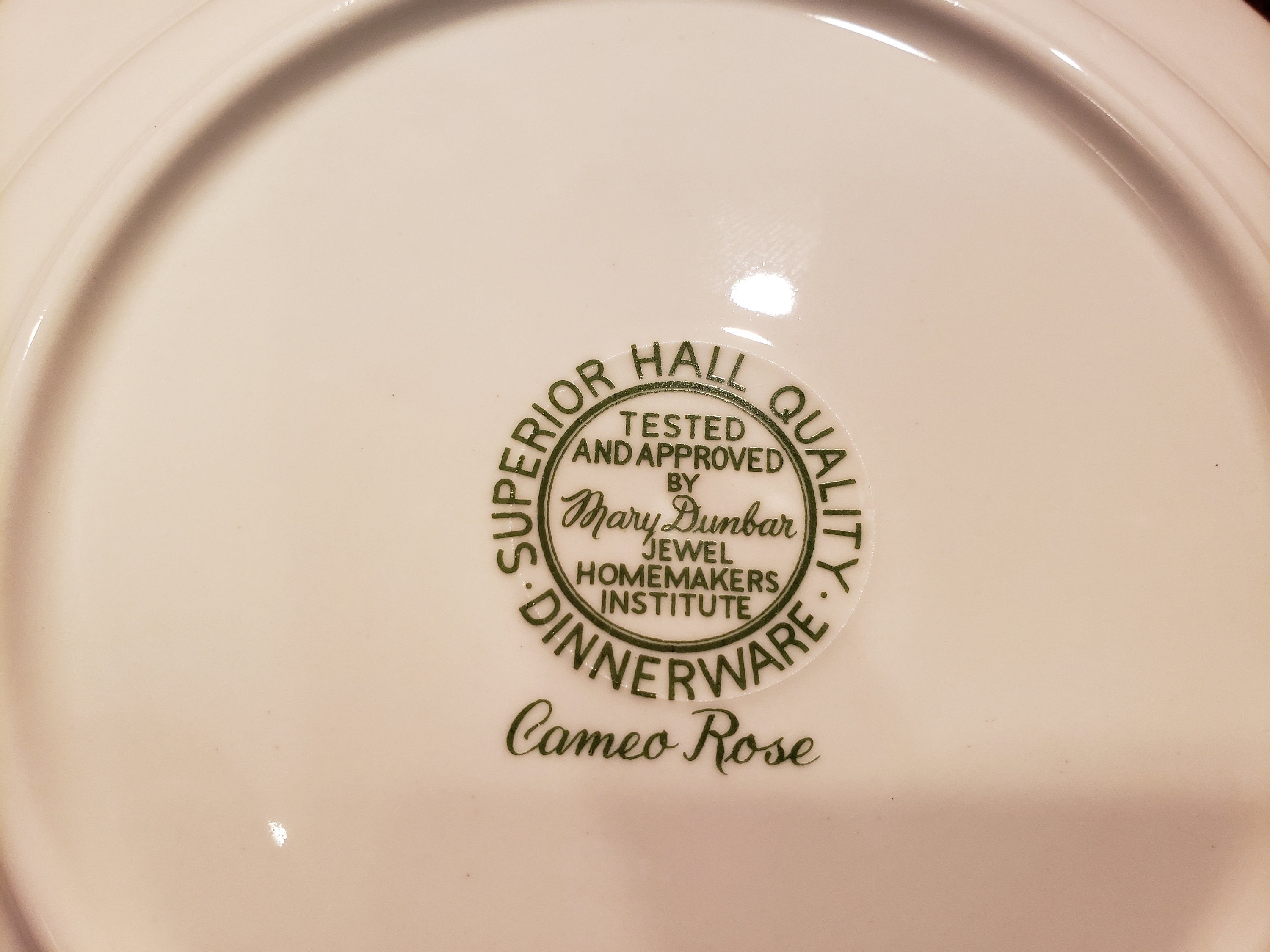 Mary Dunbar Cameo Rose Dinnerware China Set With Green Ivy and - Etsy