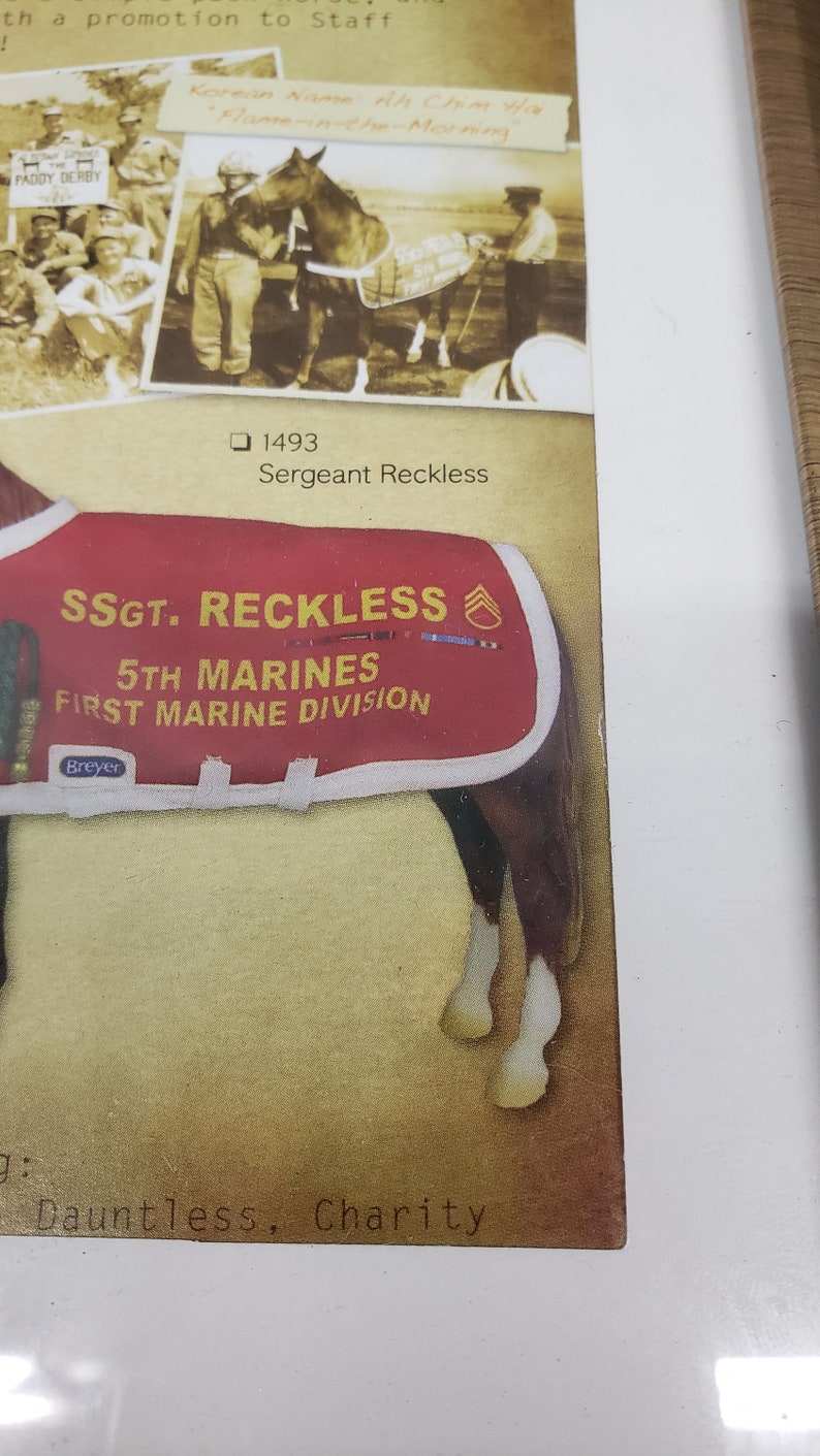 Sergeant Reckless National War Hero – Horse Picture Frame With War ...