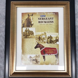 Sergeant Reckless War Horse Picture Frame: Korean War Hero - Etsy