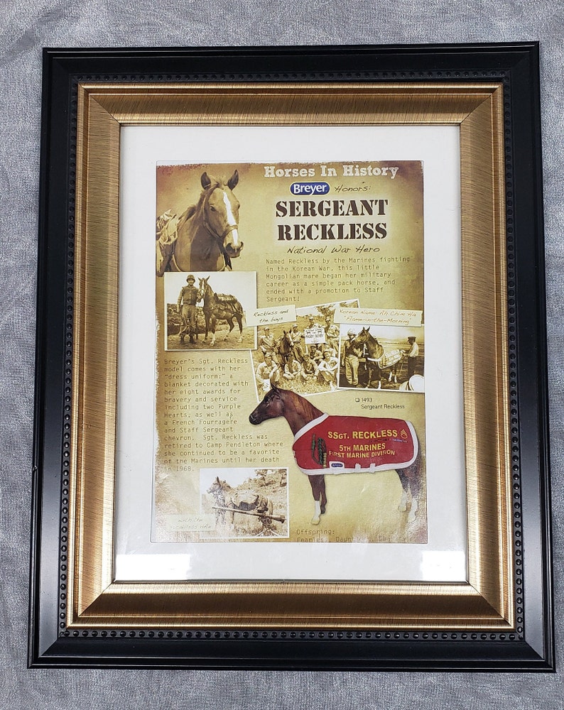 Sergeant Reckless War Horse Picture Frame: Korean War Hero - Etsy
