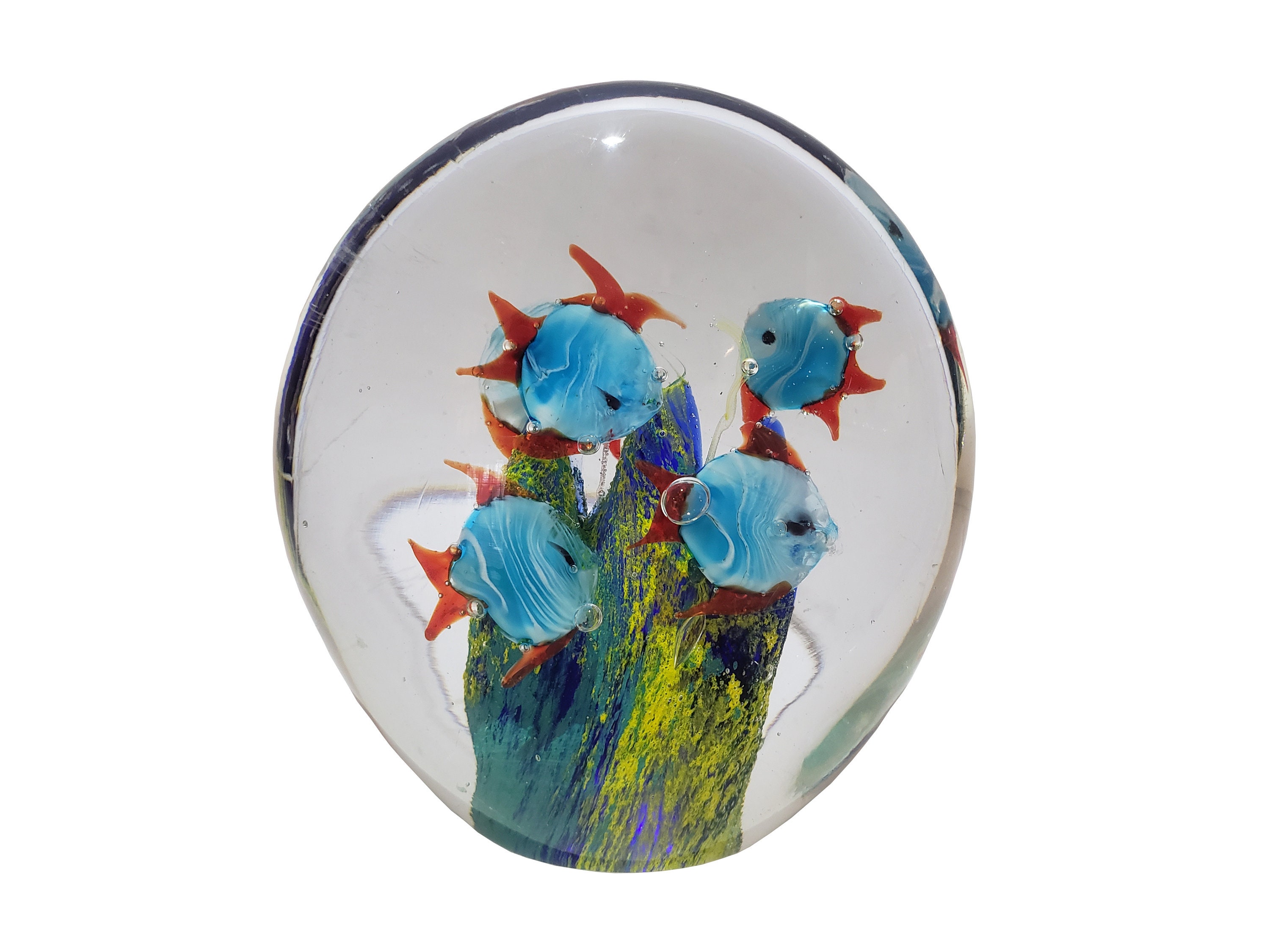Blue Fish and Coral Reef Clear Glass Paperweight - Ocean Theme ...