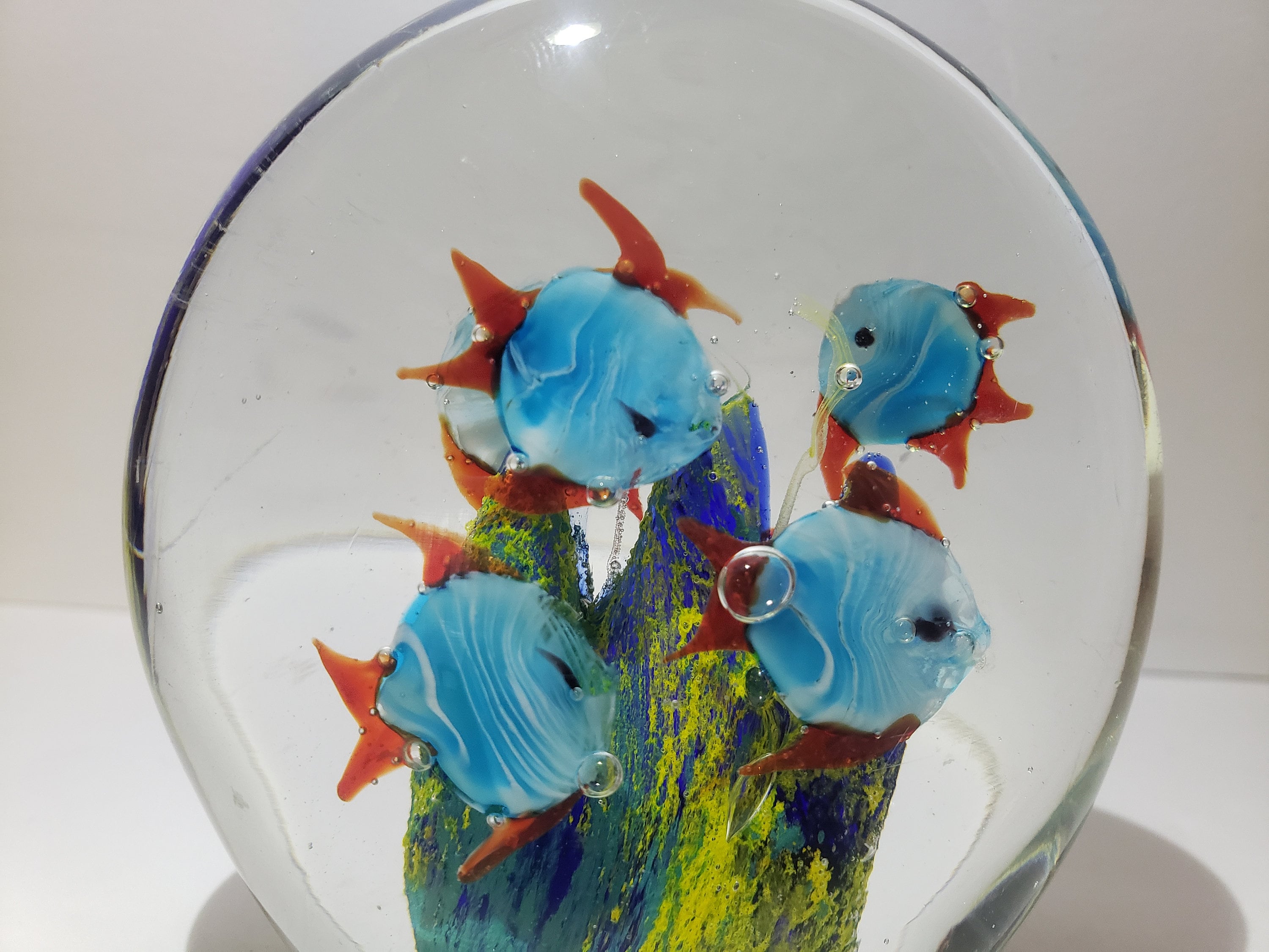 Blue Fish and Coral Reef Clear Glass Paperweight Ocean Theme ...