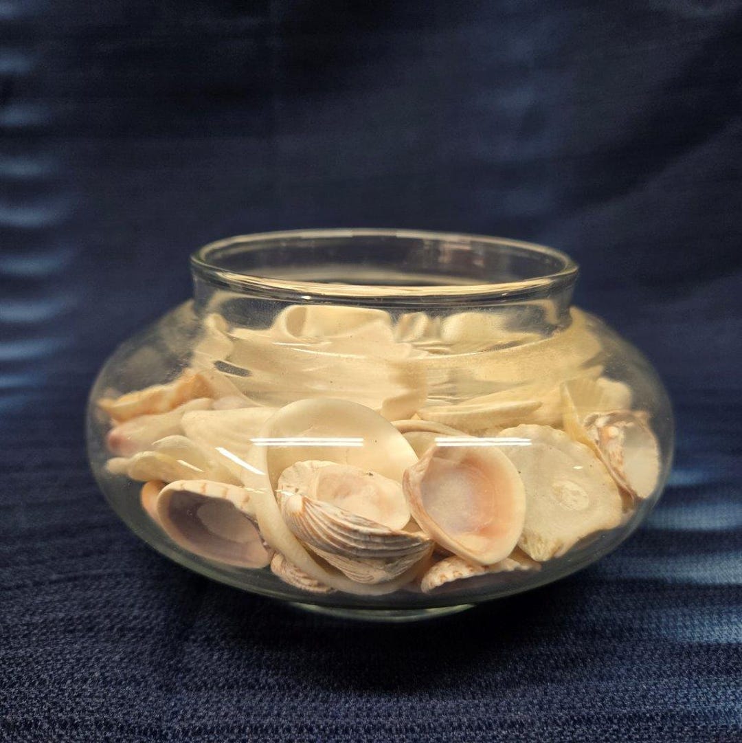 Clear Glass Bowl With Shells Inside – Collectible Glass Bowl Décor ...