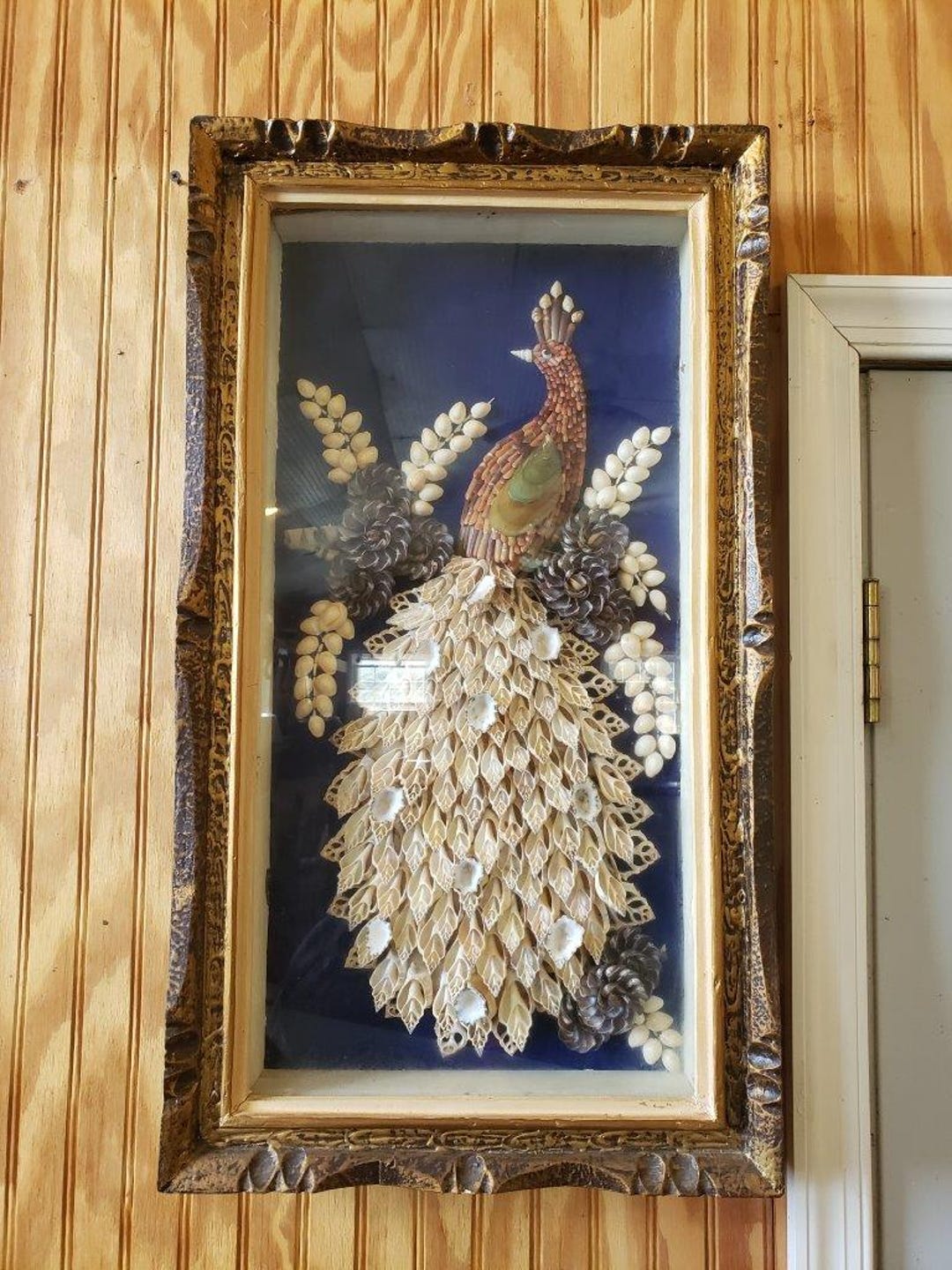 Peacock Shell Art in Shadow Box Frame - Contact for Shipping Quote - Etsy