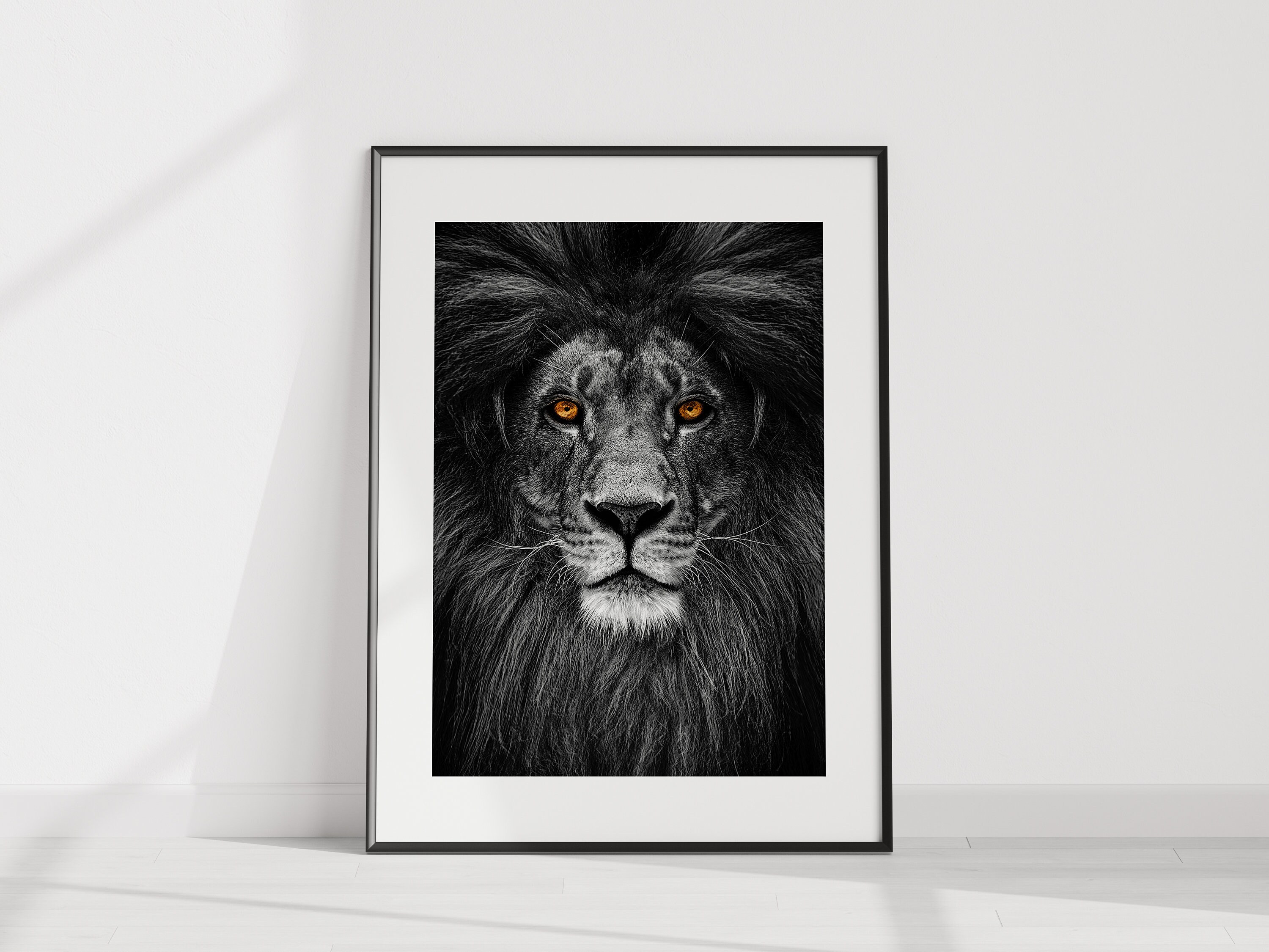 Lion Poster Set, Lion and Lioness Poster, Lion Head, Poster of Lion ...