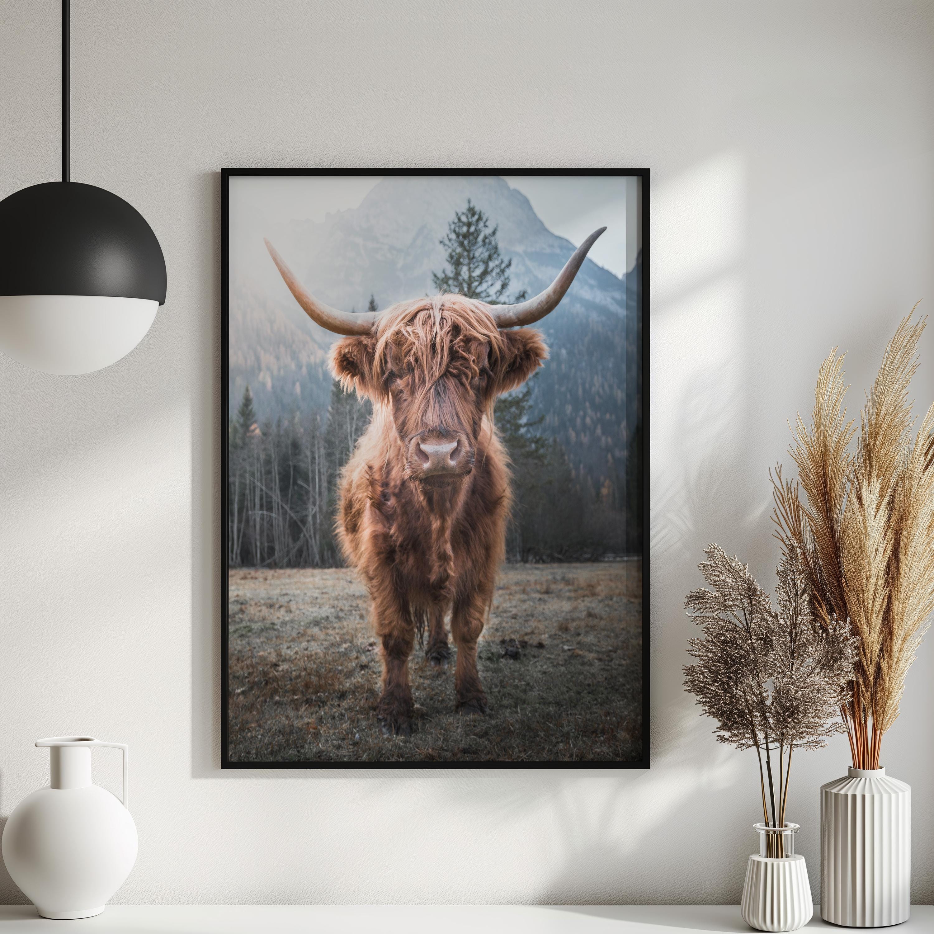 Highland Cow Print, Cozy Home Decor, Animal Photography, Cow Wall Art ...
