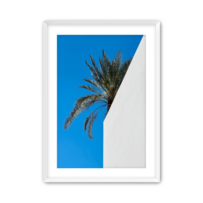 Modern Palm Tree Minimalist Print Fine Art Photography Contemporary ...