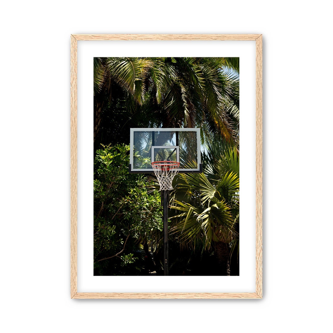 Tropical Palm Tree Basketball Hoop Art Print: California Nature ...