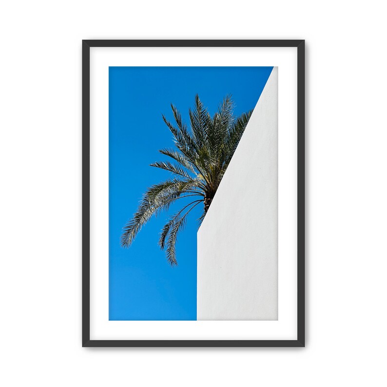 Modern Palm Tree Minimalist Print Fine Art Photography Contemporary ...