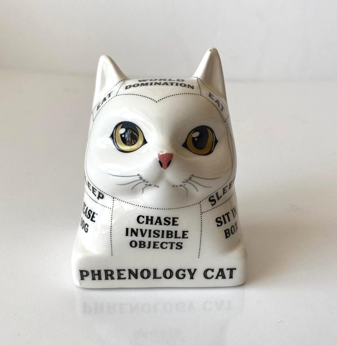 Phrenology Cat "read Your Cat's Mind" Figurine - Etsy