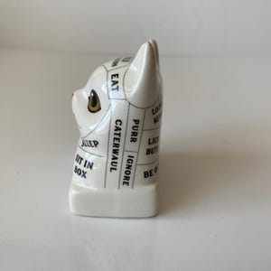 Phrenology Cat "read Your Cat's Mind" Figurine - Etsy