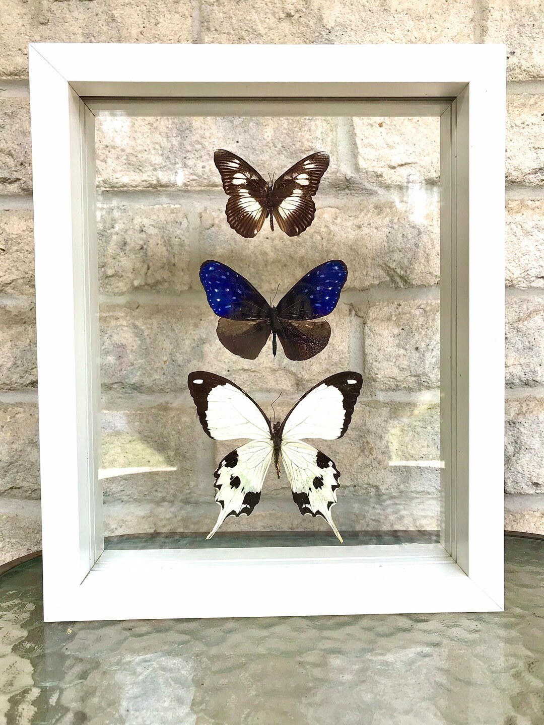 8x10” Butterfly Float Frame - Etsy