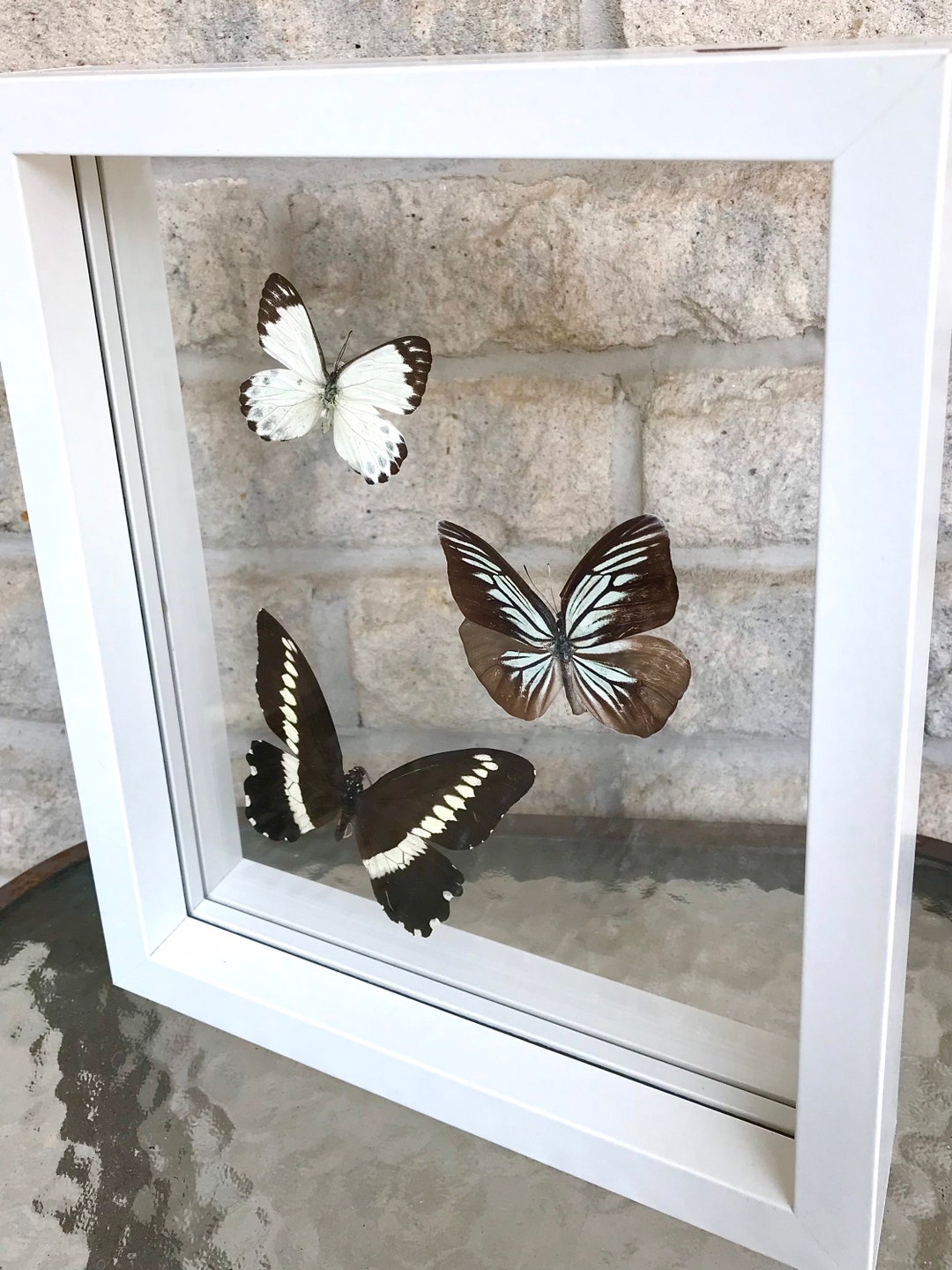 8x10” Butterfly Float Frame - Etsy