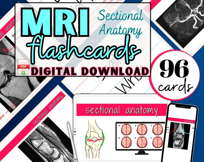 Complete Anatomy Flashcards PDF - Etsy India