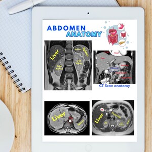 MRI Planning Chest and Abdomen, MRI Positioning, Mri, Mri Study Guide ...
