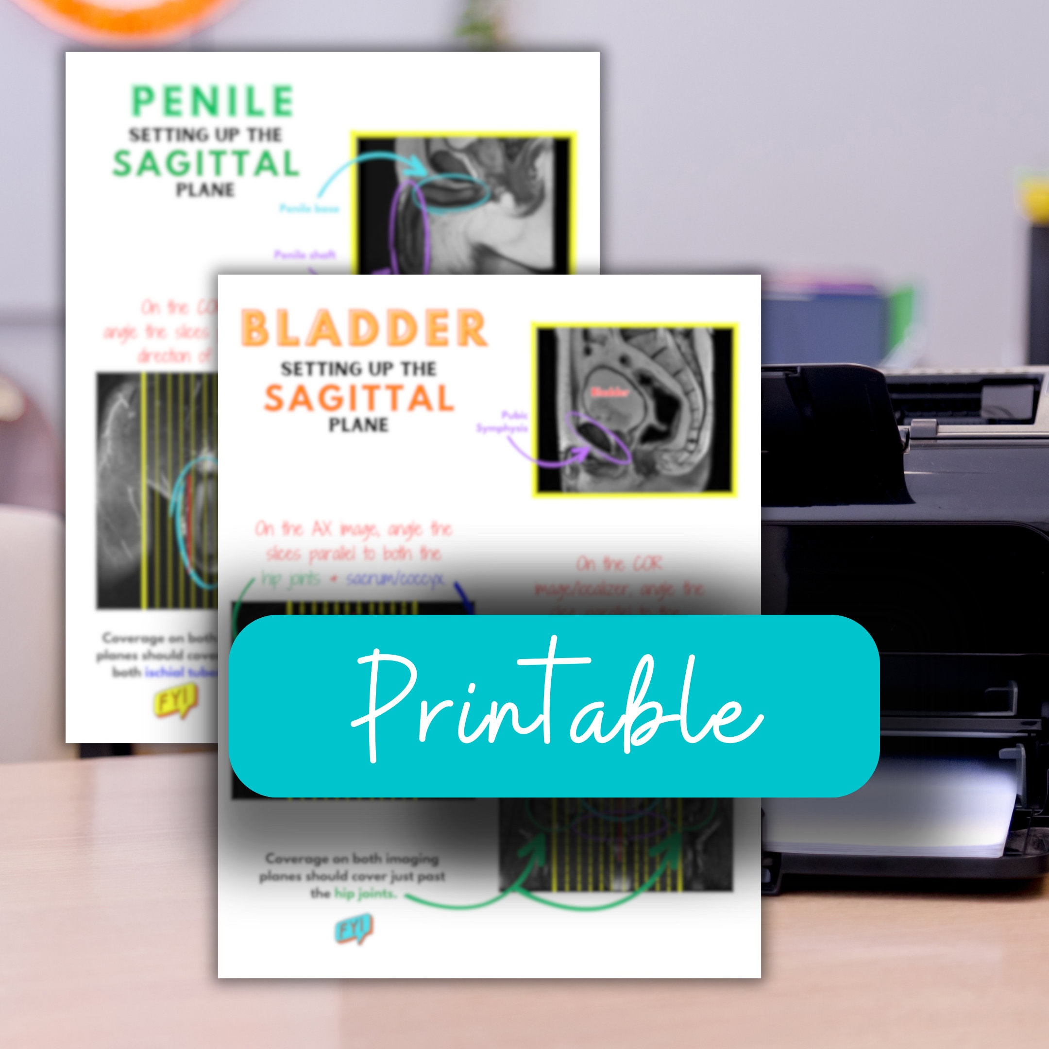 MRI Planning Pelvis, MRI Positioning, Mri, Mri Study Guide, Mri Notes ...