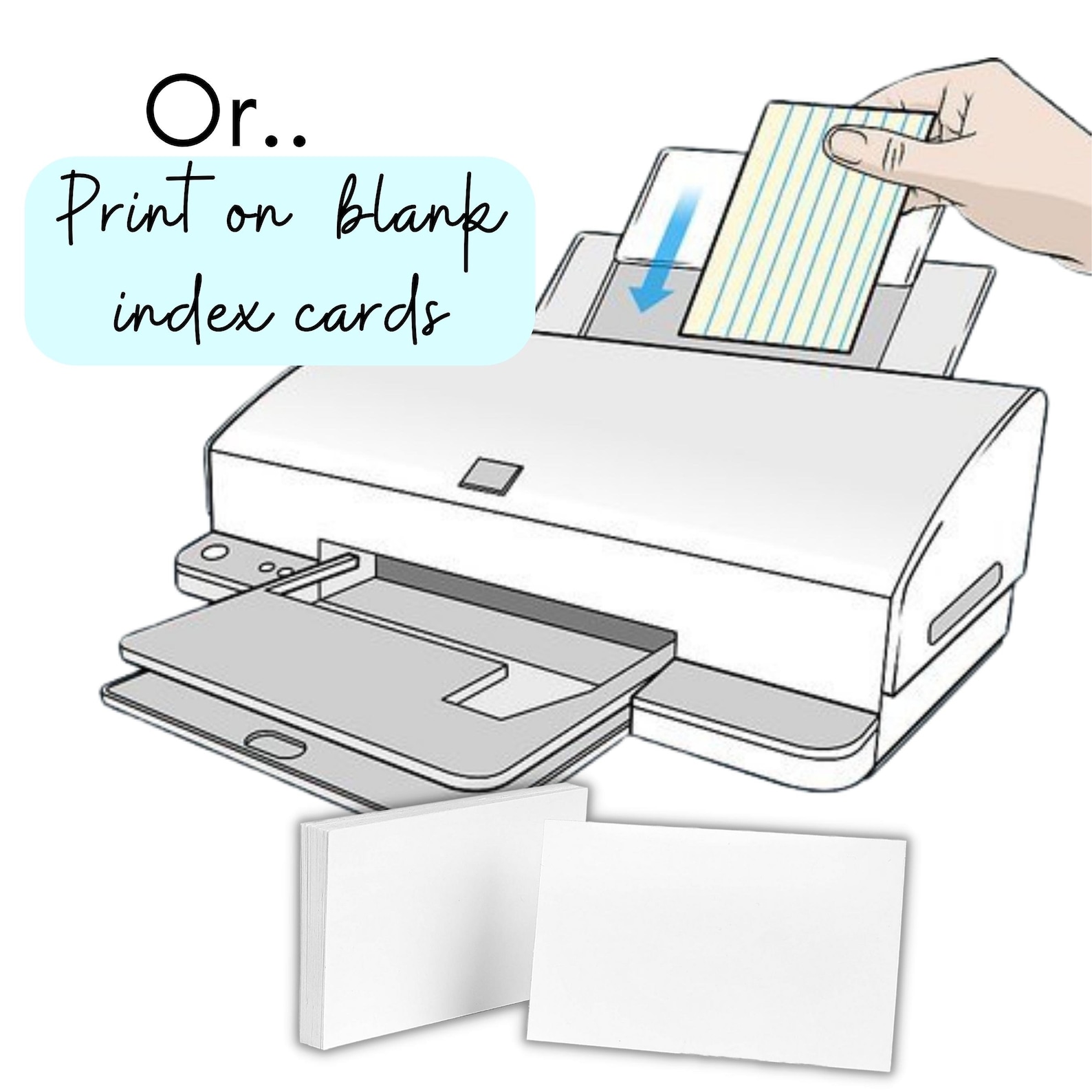 MRI Flashcards, Sectional Anatomy, Anatomy Notes, Mri Technologist, Mri ...