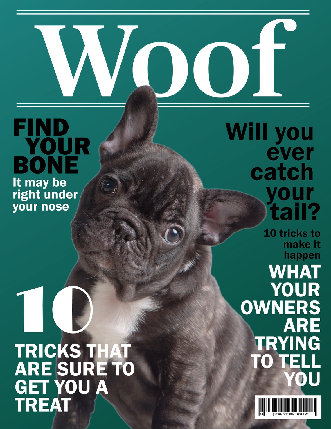 CUSTOM PET PORTRAIT/ Pet From Photo/ Pet on Magazine Cover/ - Etsy