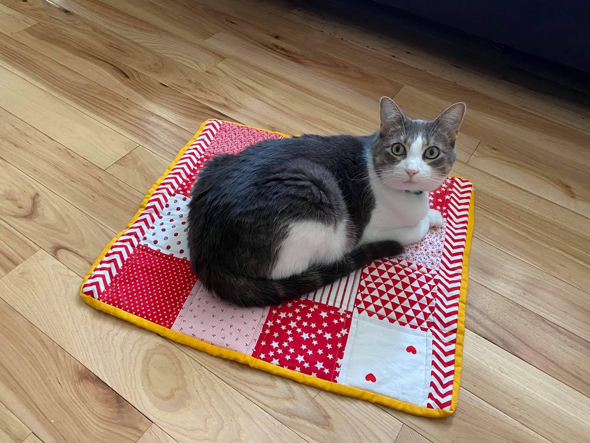 Red patchwork cat quilt cat blanket | Etsy
