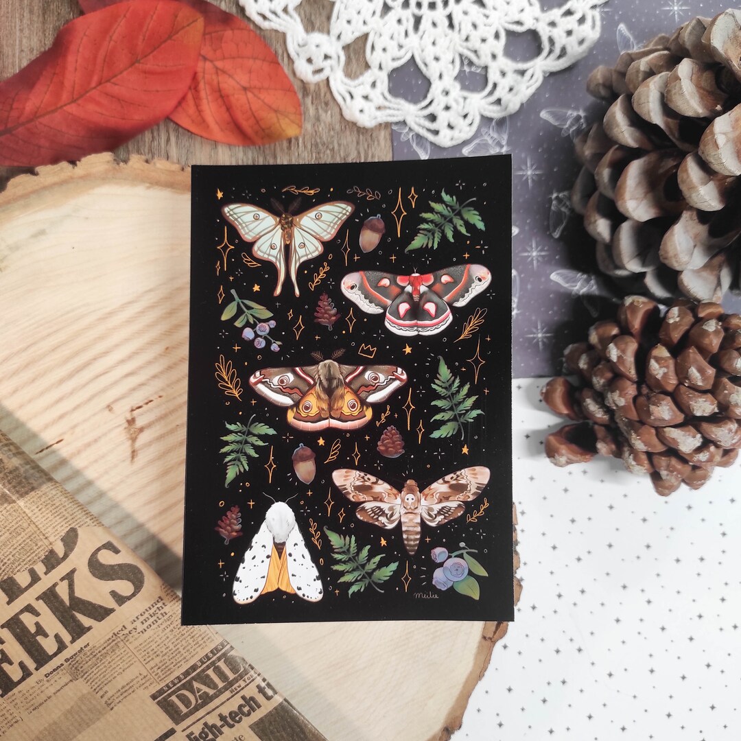 Print A6 Magical Forest - Card, Forestcore, Decoration, Aesthetic ...