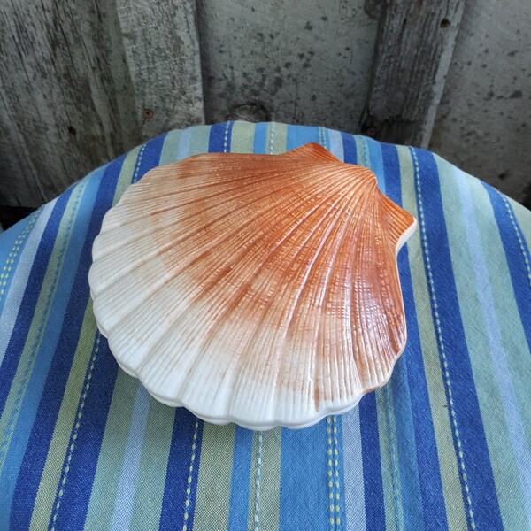 Ceramic Shell - Etsy