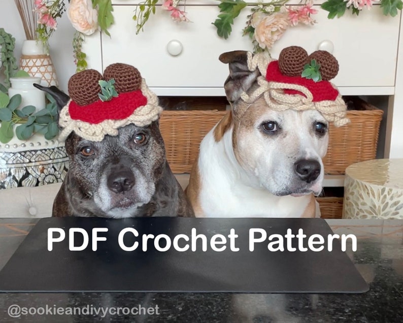 PDF Crochet Pattern - Spaghetti and Meatballs Dog Hat [quick and Easy ...