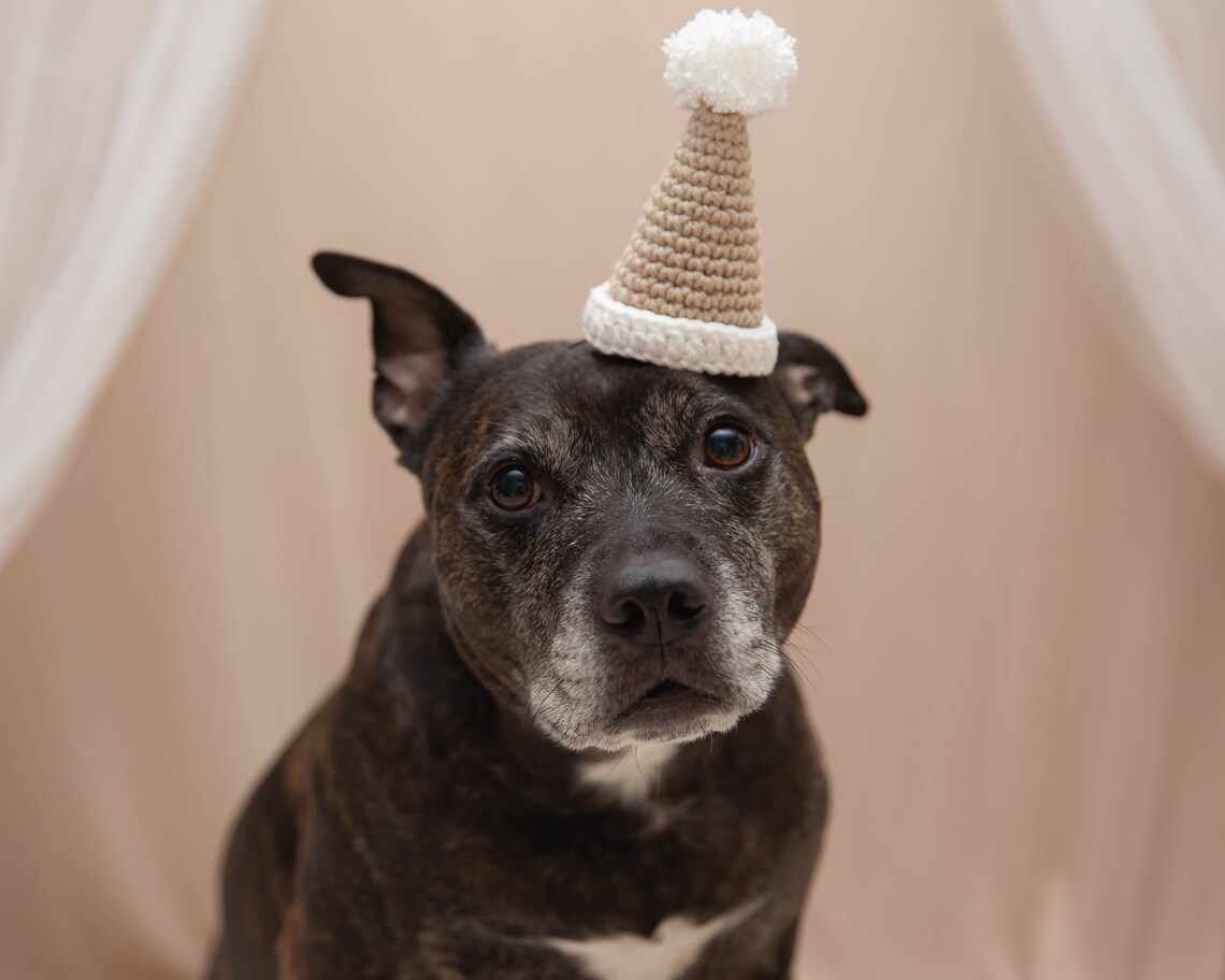 PDF Crochet Pattern - Small Birthday Hat Amigurumi Pattern - Etsy