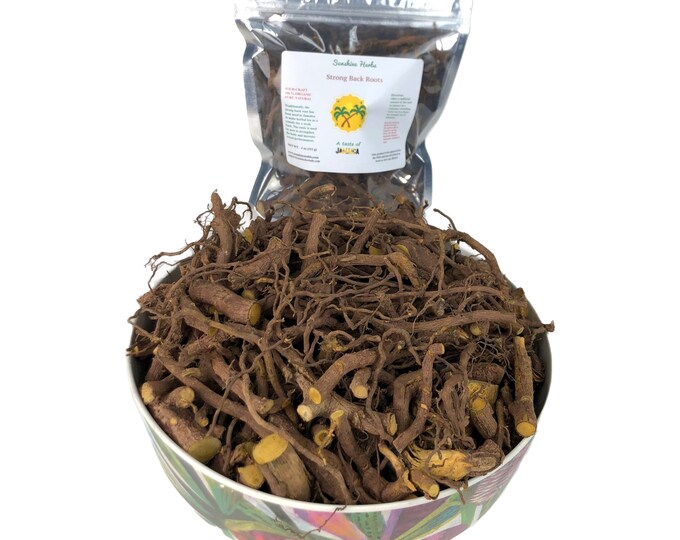Strong Back Root | Wild-craft Harvest | Jamaican Herb | Pure Natural ...