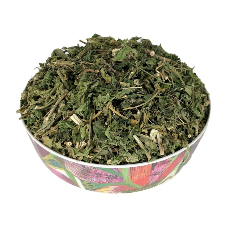 Jamaican Dog Blood Herb Fertility Bush Rivina Humilis - Etsy