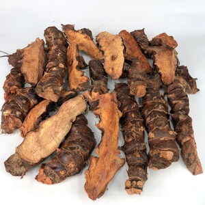 Chaney Root | Similax Balbisiana | Jamaican Wild-craft | Fresh Harvest ...