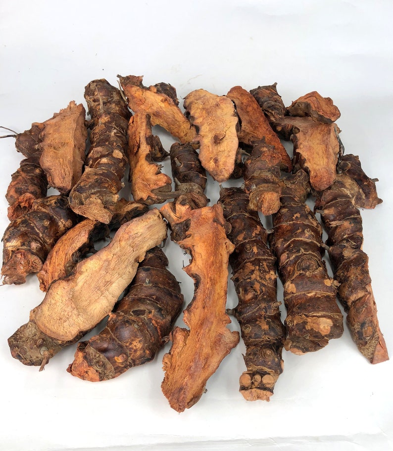 Chaney Root Similax Balbisiana Jamaican Wild-craft Fresh - Etsy