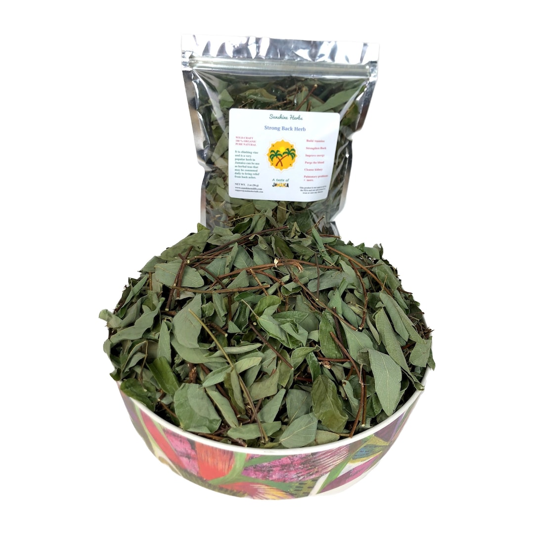 Strong Back Herb | Desmodium Adscendens | Wild-craft Harvest | Jamaican ...