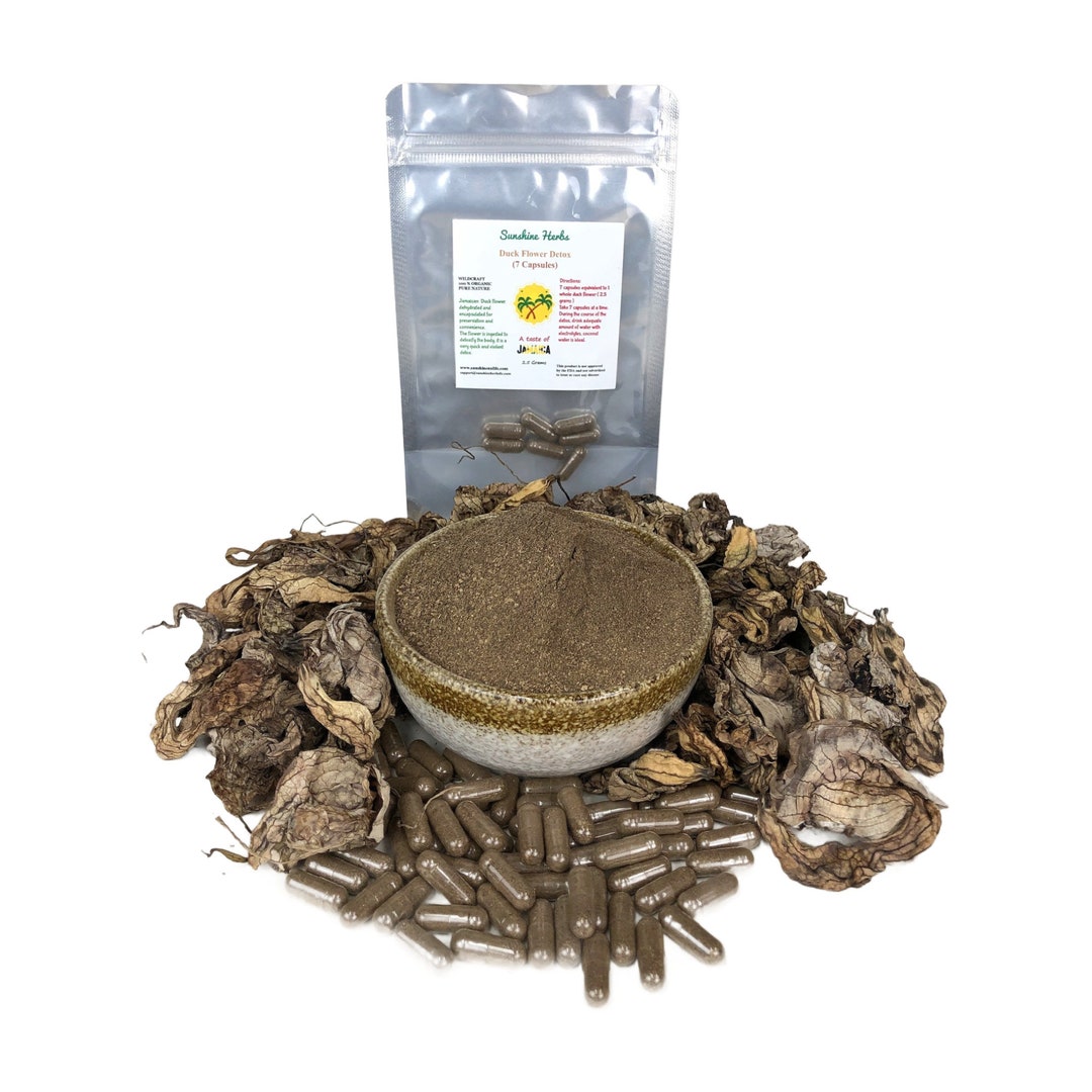 Jamaican Duck Flower Capsules | Aristolochia Grandiflora | Fresh ...