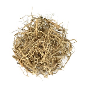 Guinea Hen Weed Roots | Jamaican Wildcraft Harvest | Pure Anamu Root ...