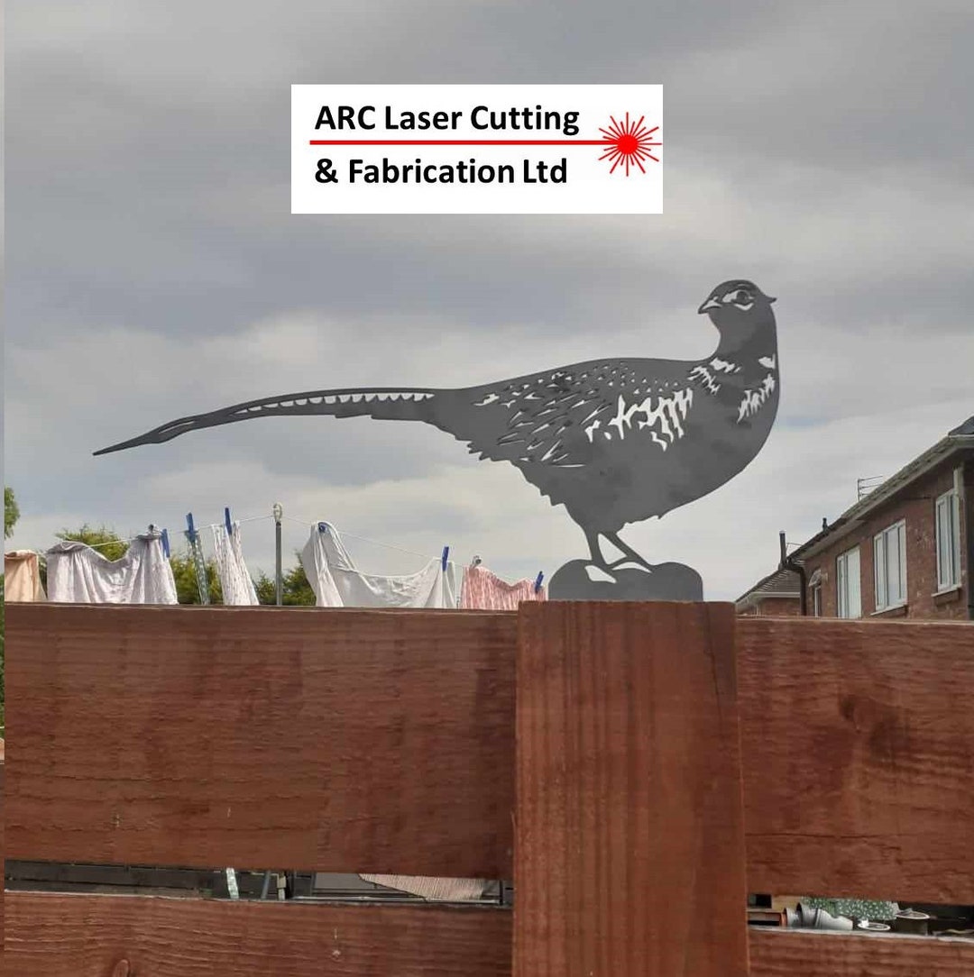 Rusty Pheasant Garden Fence Topper Mild Steel Designed to Rust 2 Sizes ...