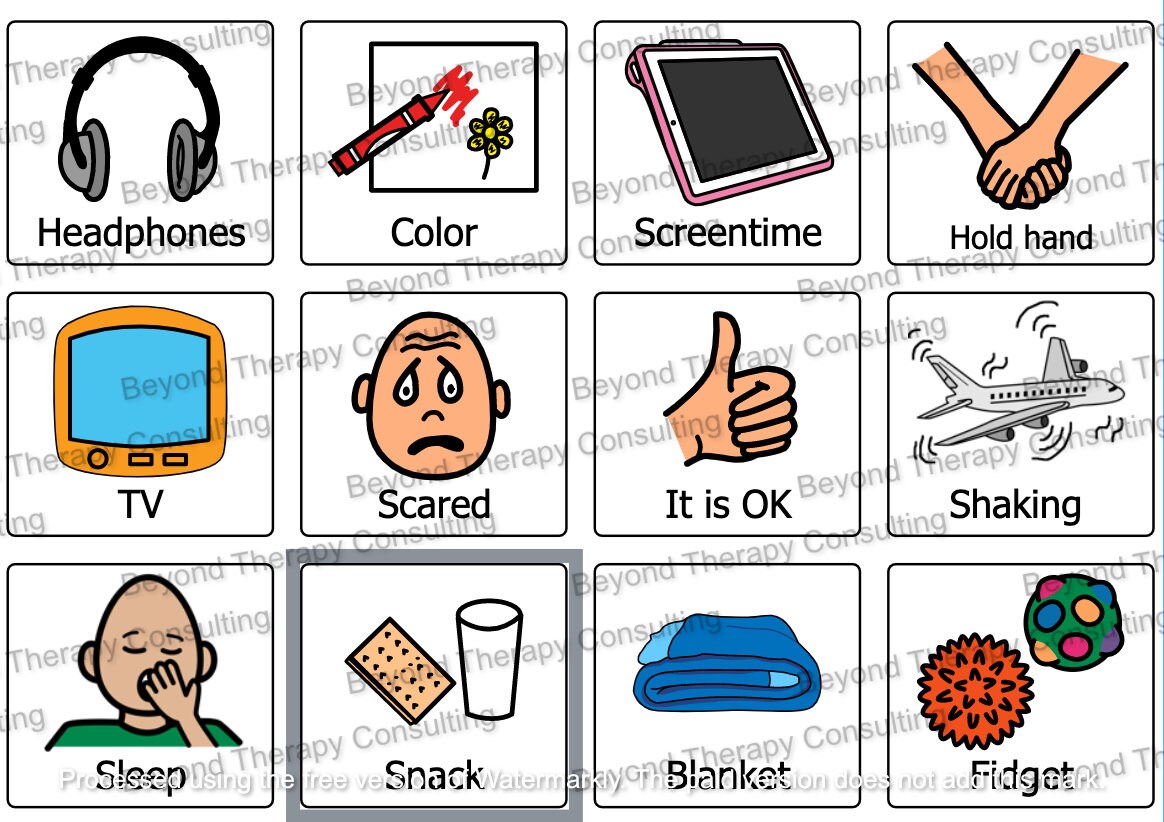 Airplane Travel Visual Support| Picture Icons| PECS, Speech, Core Board ...