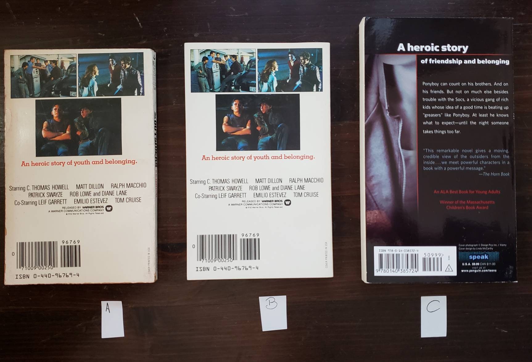 The Outsiders Back Cover