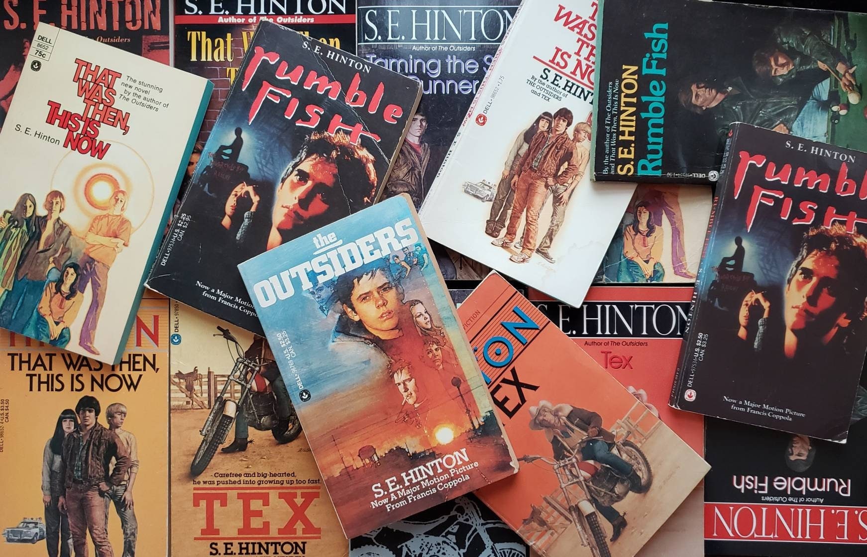 That Was Then This Is Now Book Cover