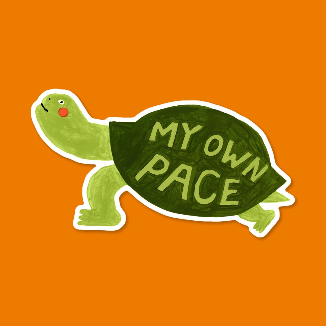 My Own Pace Turtle Vinyl Sticker - Etsy